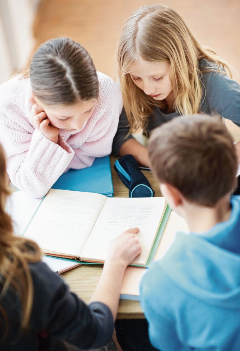 High School Tutoring | Private Tutor | STEM Excellence Tutoring